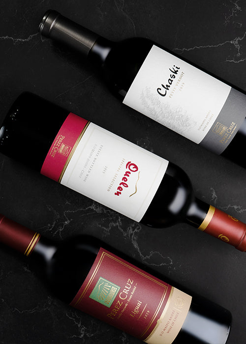 Viña Perez Cruz – Viña Pérez Cruz