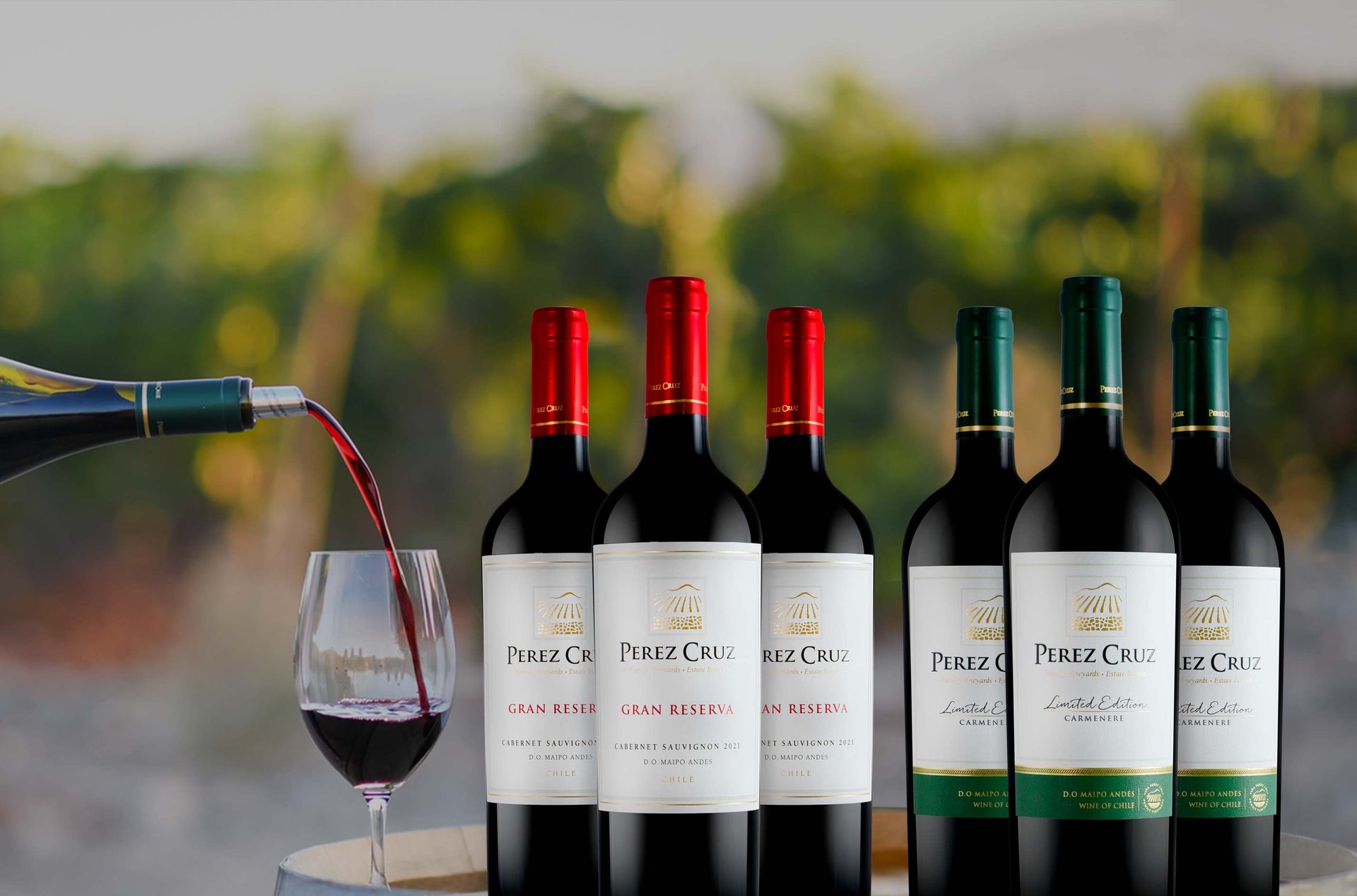 Viña Perez Cruz – Viña Pérez Cruz