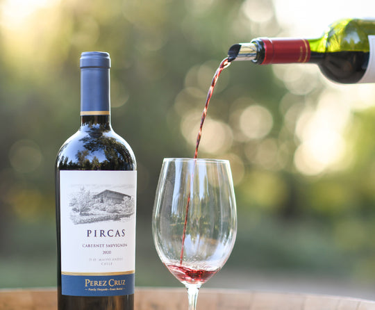 Viña Perez Cruz – Viña Pérez Cruz